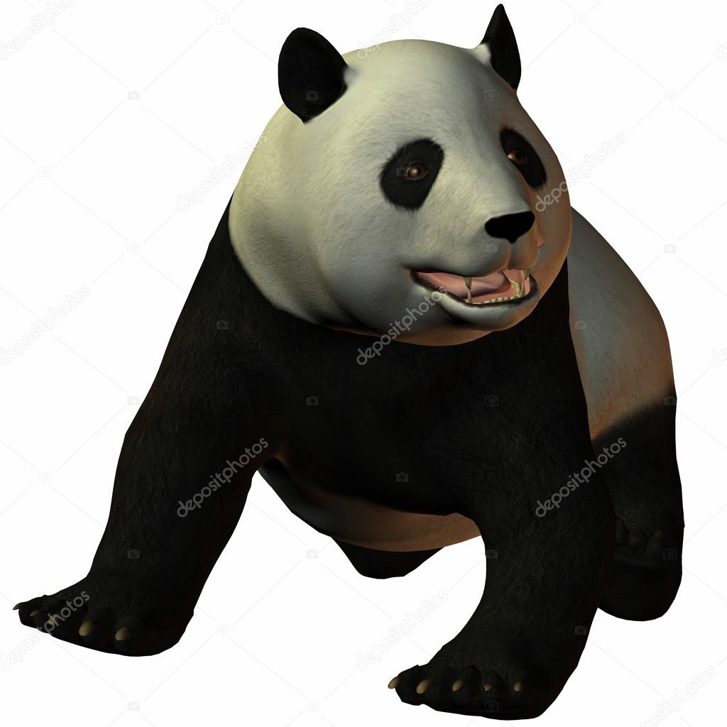 Toon Panda — Stock Photo © Digitalstudio #2752226