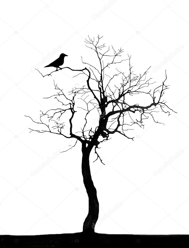 Dead Trees, Inspiration Trees, Trees Stencil, Trees Obsession, Timeless ...