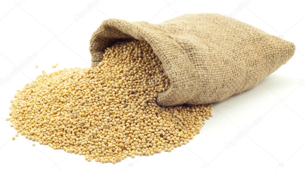 A bag of millet — Stock Photo © Telesh #3133009