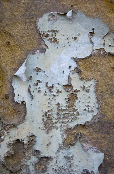 Texture: decay 3 — Stock Photo © Vixsjohnon #2823774