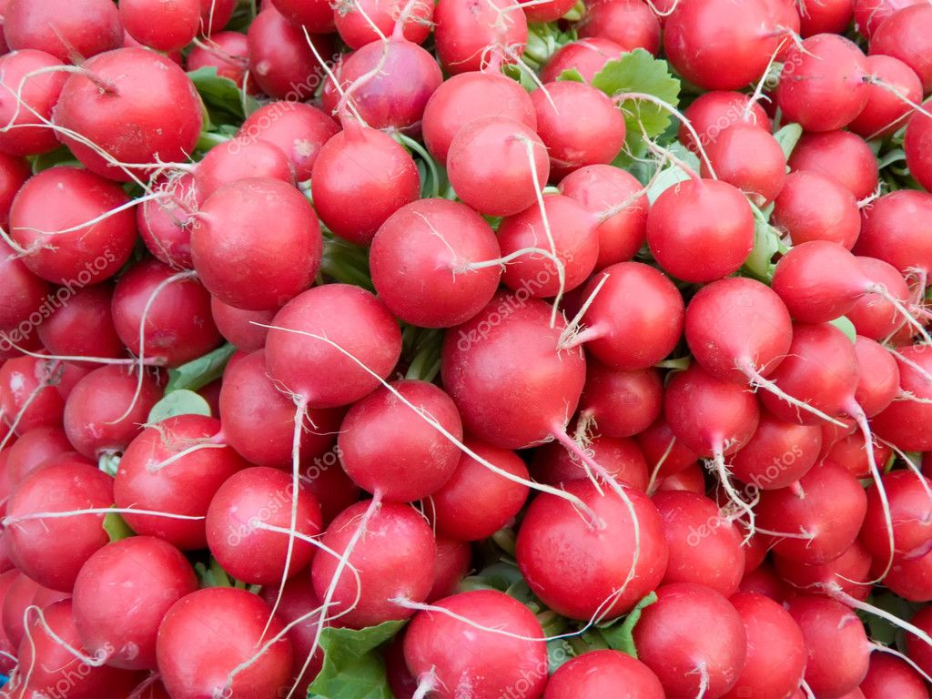 Red radish — Stock Photo © fototechnic #3326655