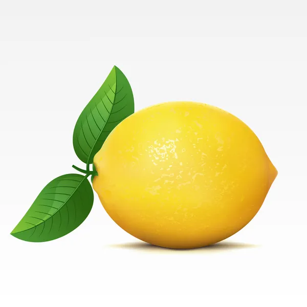 Lemon vector Vector Images, Royalty-free Lemon vector Vectors ...