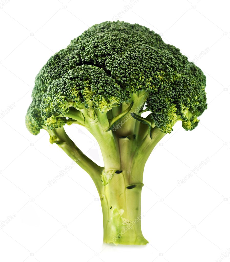 Broccoli tree — Stock Photo © marischka #2844624