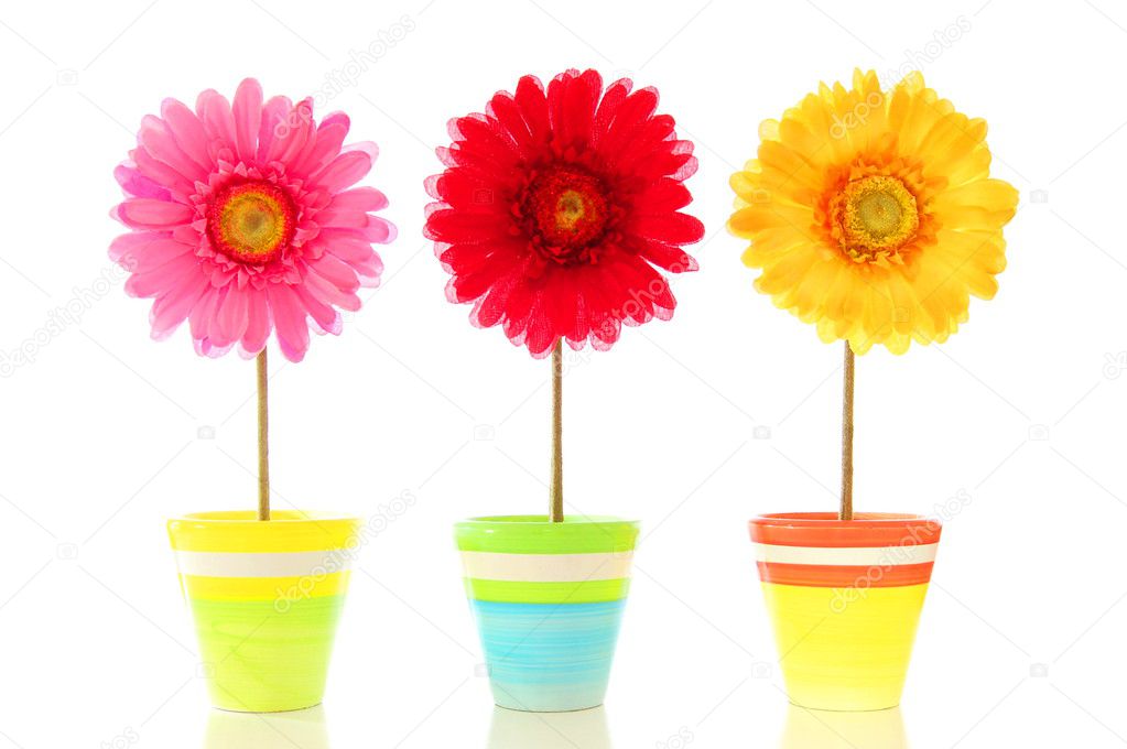 Funny flowers — Stock Photo © gunnar3000 #3702966
