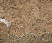 Free Stock photo of Round hay bales stacked in a field | Photoeverywhere