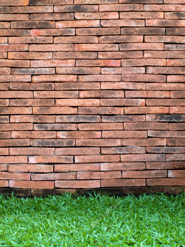 Brick Wall and Green Grass — Stock Photo © nuttakit #3857827