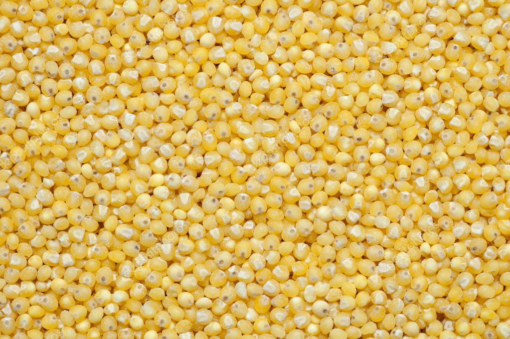 Background of millet Stock Photo by ©bambuh 3291851