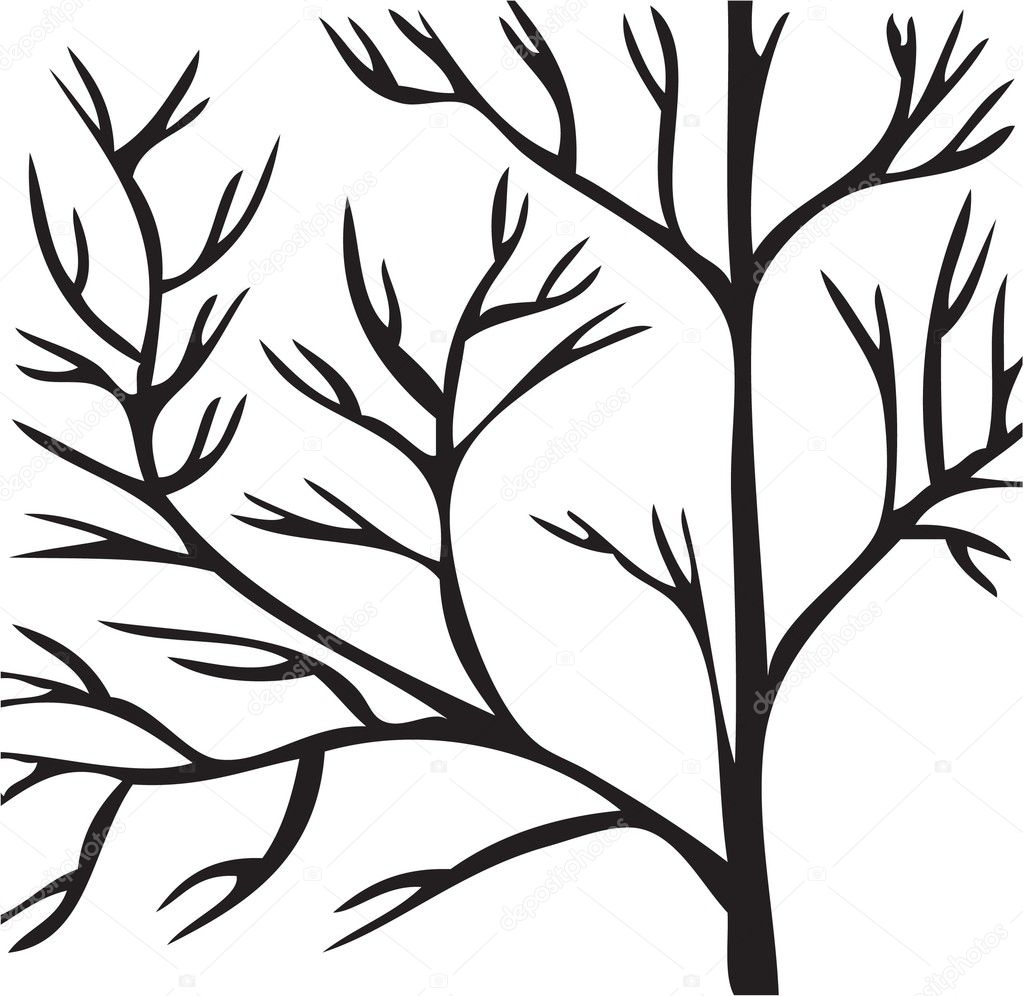 Tree Branch Vector Black