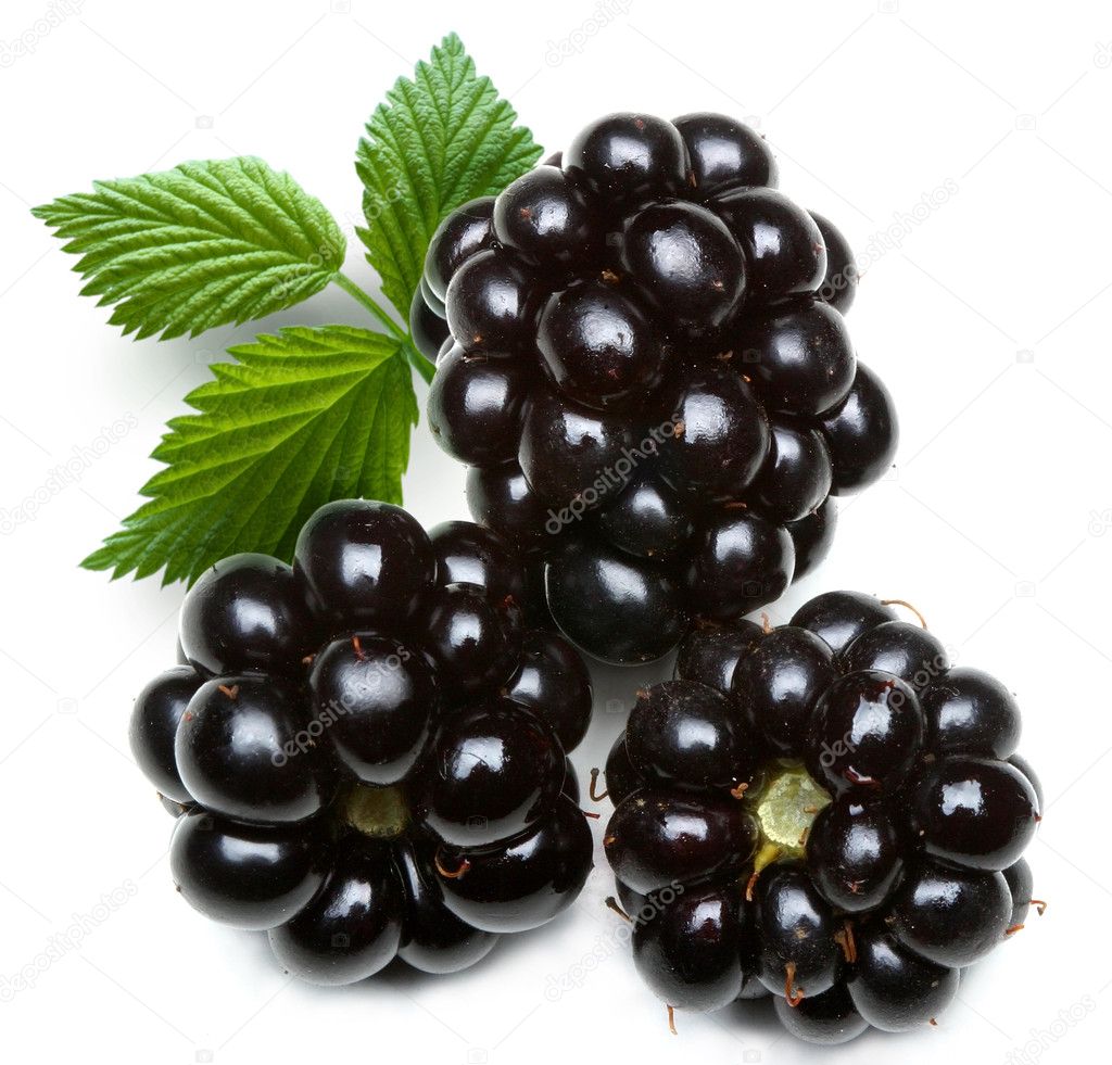 Dewberry — Stock Photo © Valentyn_Volkov #3412435