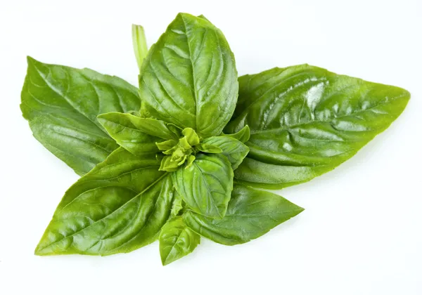 Basil Stock Photos, Royalty Free Basil Images | Depositphotos