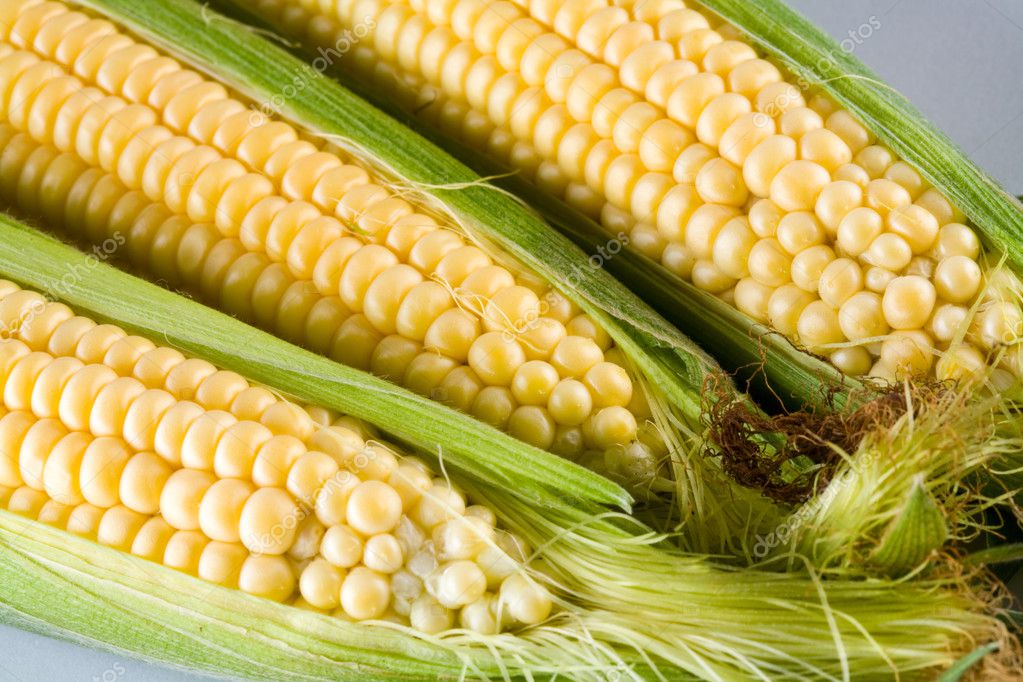 Maize — Stock Photo © Valentyn_Volkov #3434992