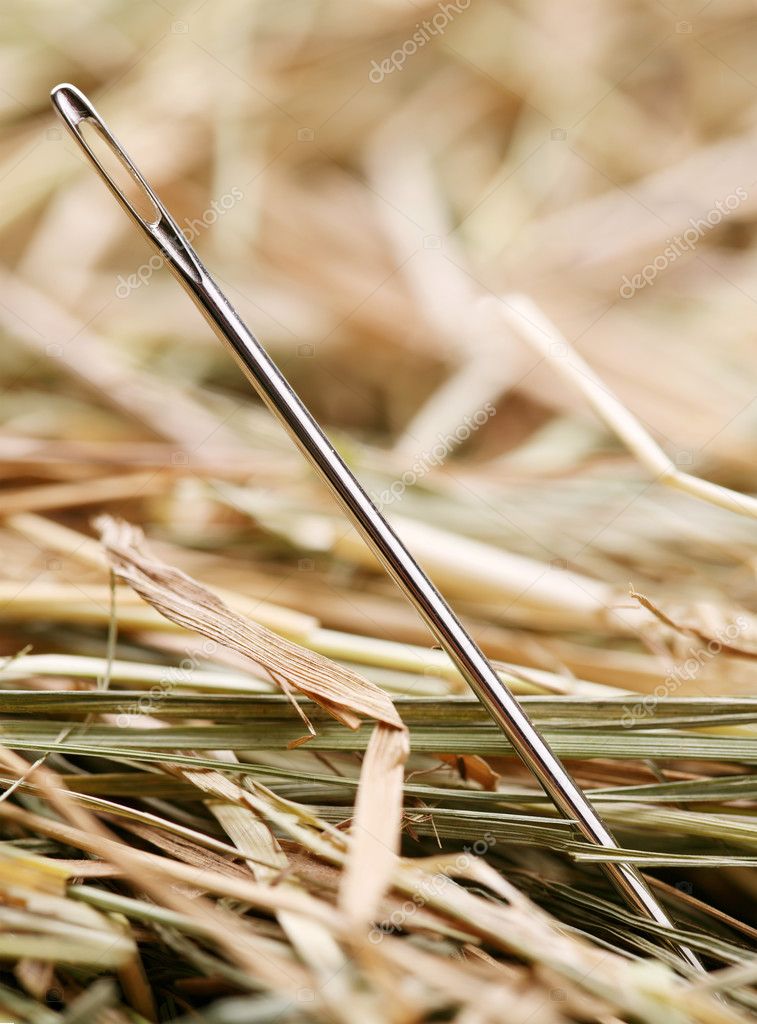 Needle is in a haystack Stock Photo by ©Valentyn_Volkov 3605885