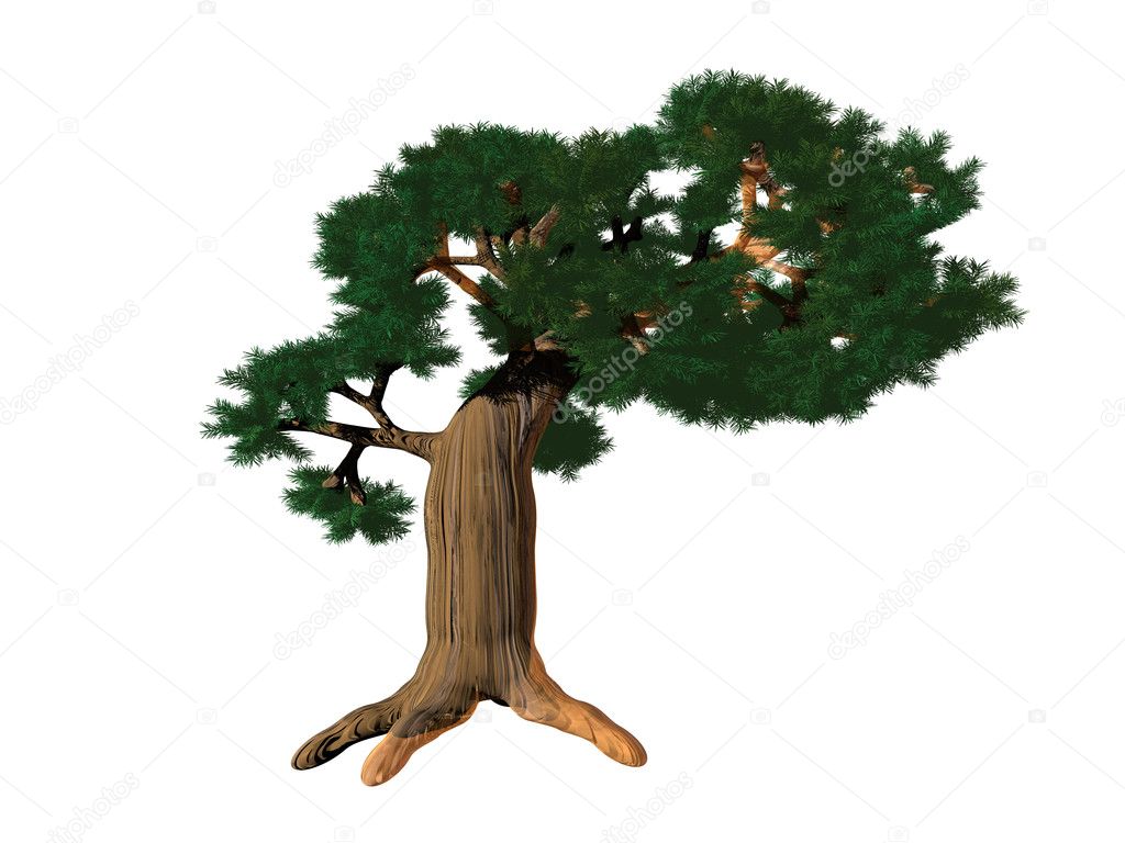 Tree rendered on white — Stock Photo © KostPhoto #3503787