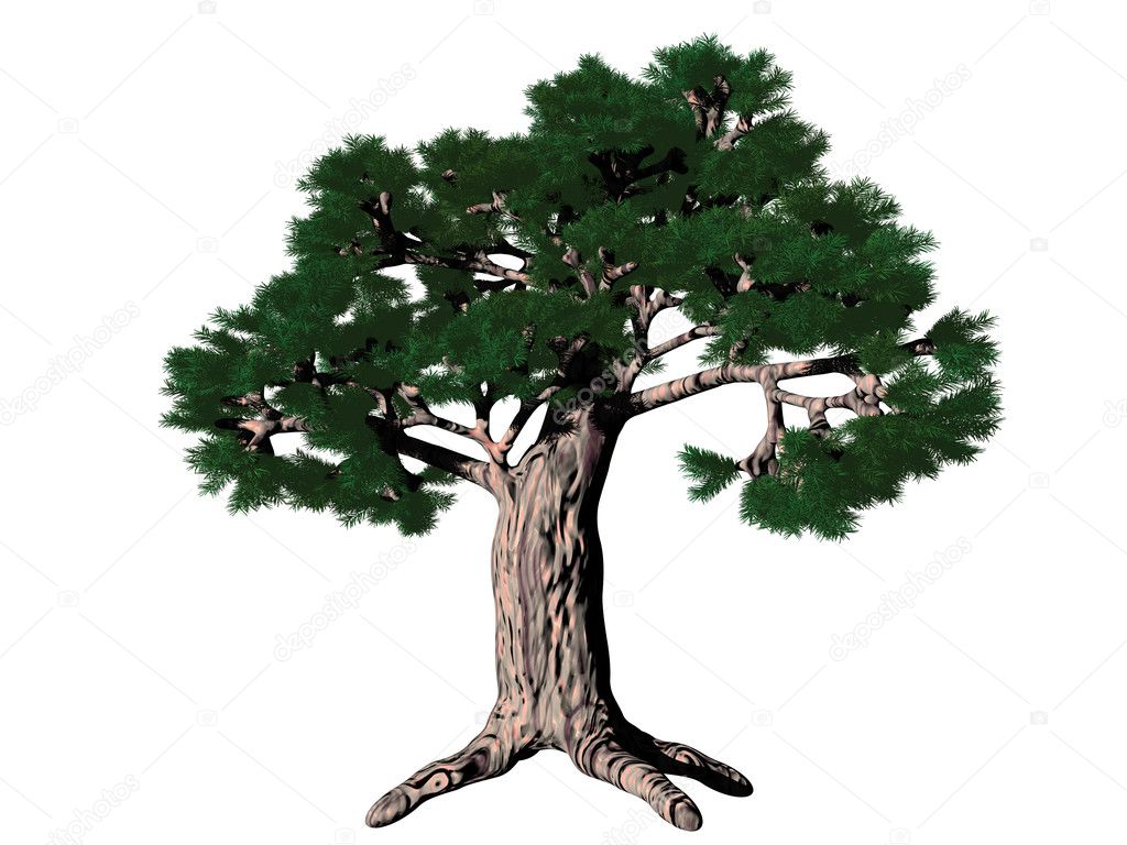 Tree rendered on white — Stock Photo © KostPhoto #3503794