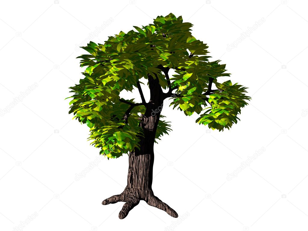 Tree rendered on white — Stock Photo © KostPhoto #3503798