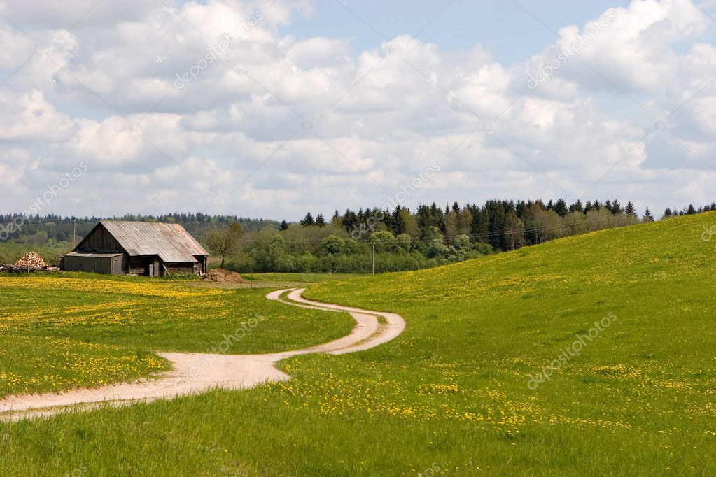 Rural landscape — Stock Photo © Birute #3530689