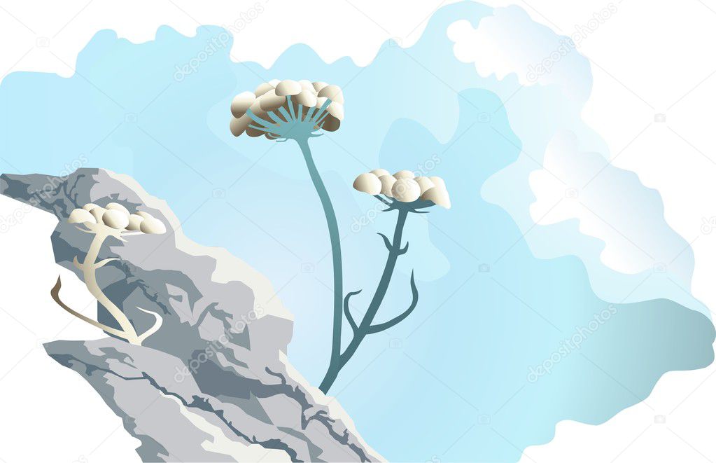 Mountain flower Stock Vector Image by ©VALRUm #3795033