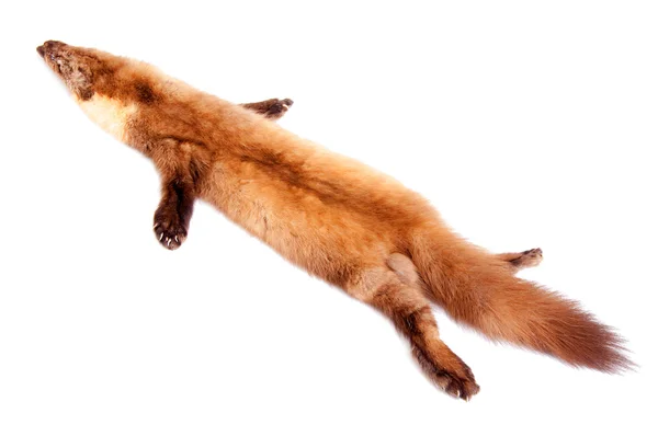 Martenici Stock Photos, Royalty Free Martenici Images | Depositphotos®