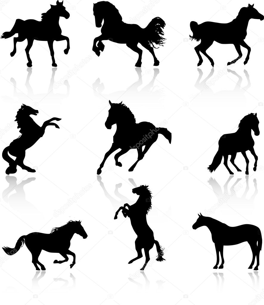 Vector caballos — Vector de stock #3608364