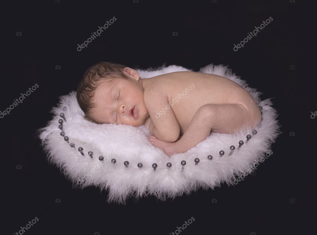 Newborn in Feather Nest — Stock Photo © kellyrichardson #3834066