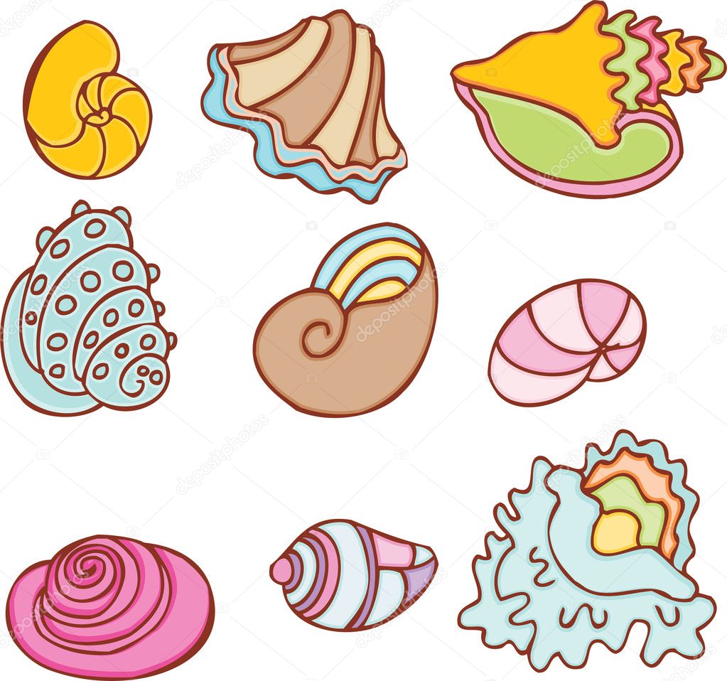 Seashell Set: Pacific — Stock Vector © cteconsulting #3990668